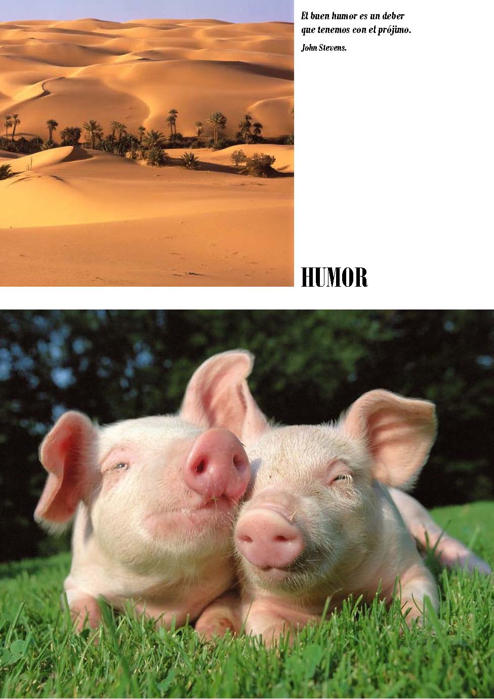 HUMOR SOLIDARIO – lasolidaridadunbuenremedio.com