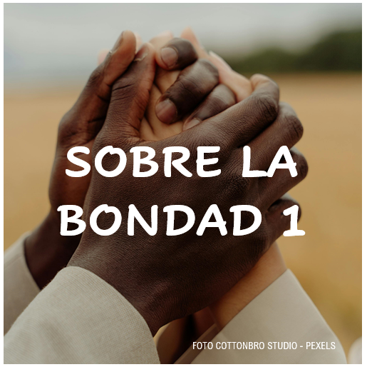 ¿QUÉ ES LA BONDAD?… Y MÁS – lasolidaridadunbuenremedio.com